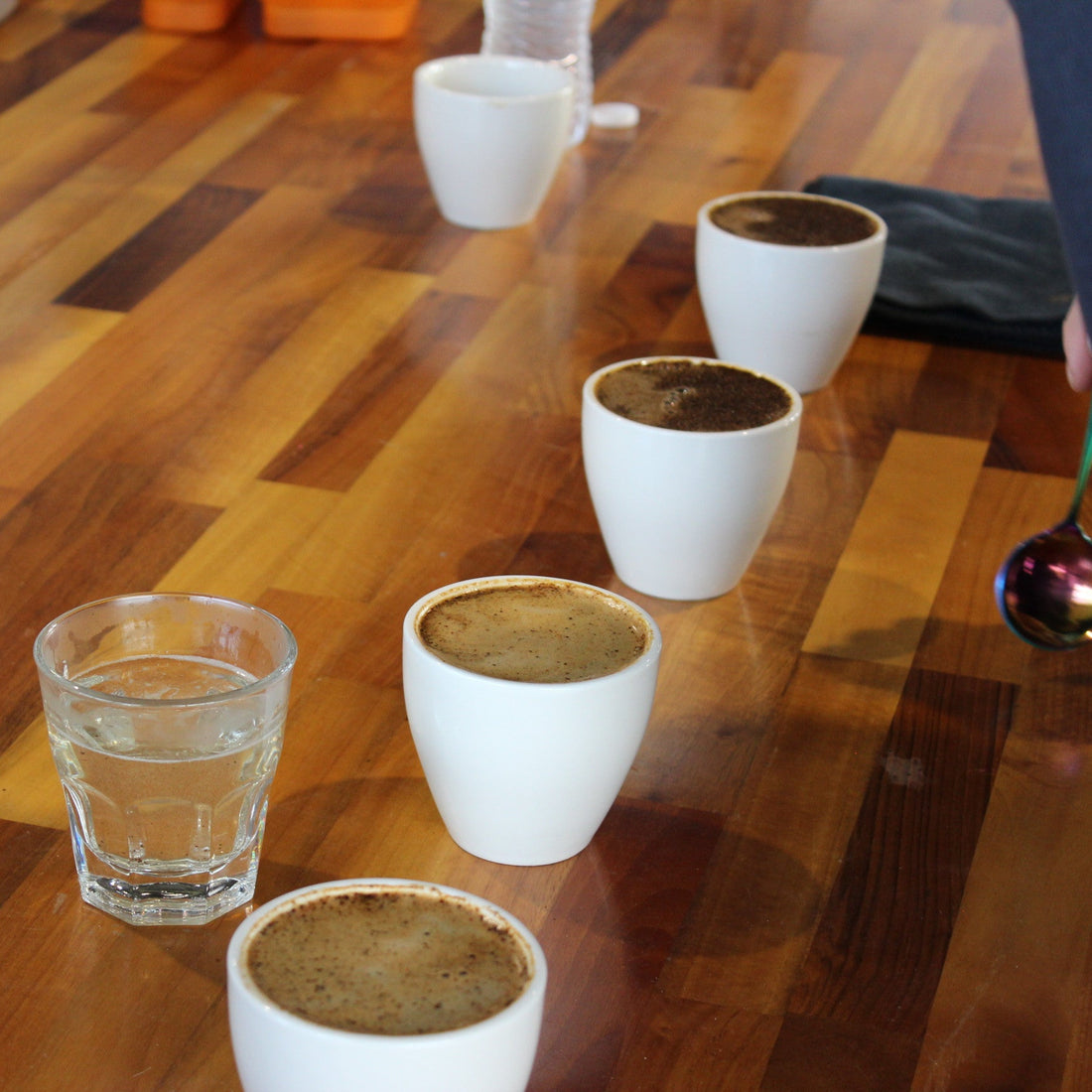 Lore Coffee Roasters