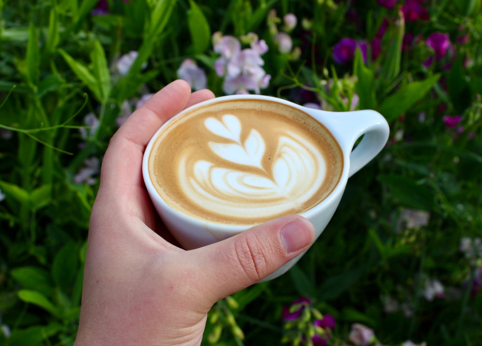 Lore Coffee Roasters